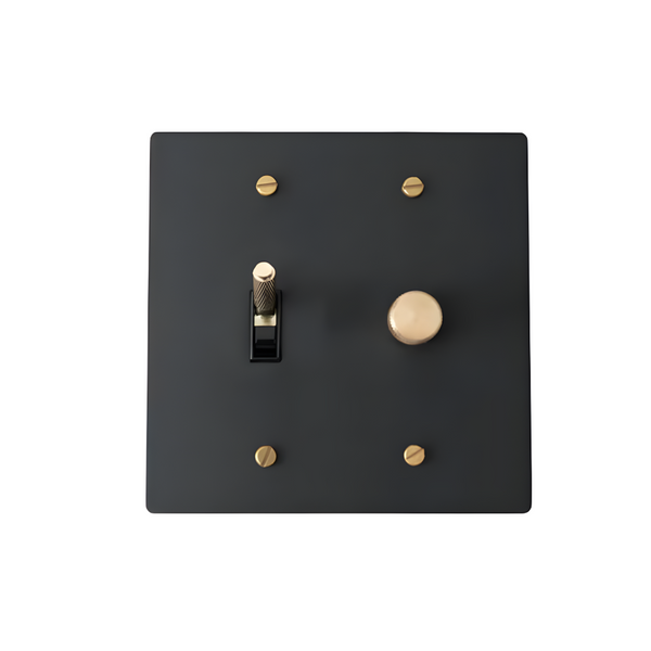 KLAS / Brass Mixed Dimmer Switch Outlet (2-Gang) - Handle Shop Couture