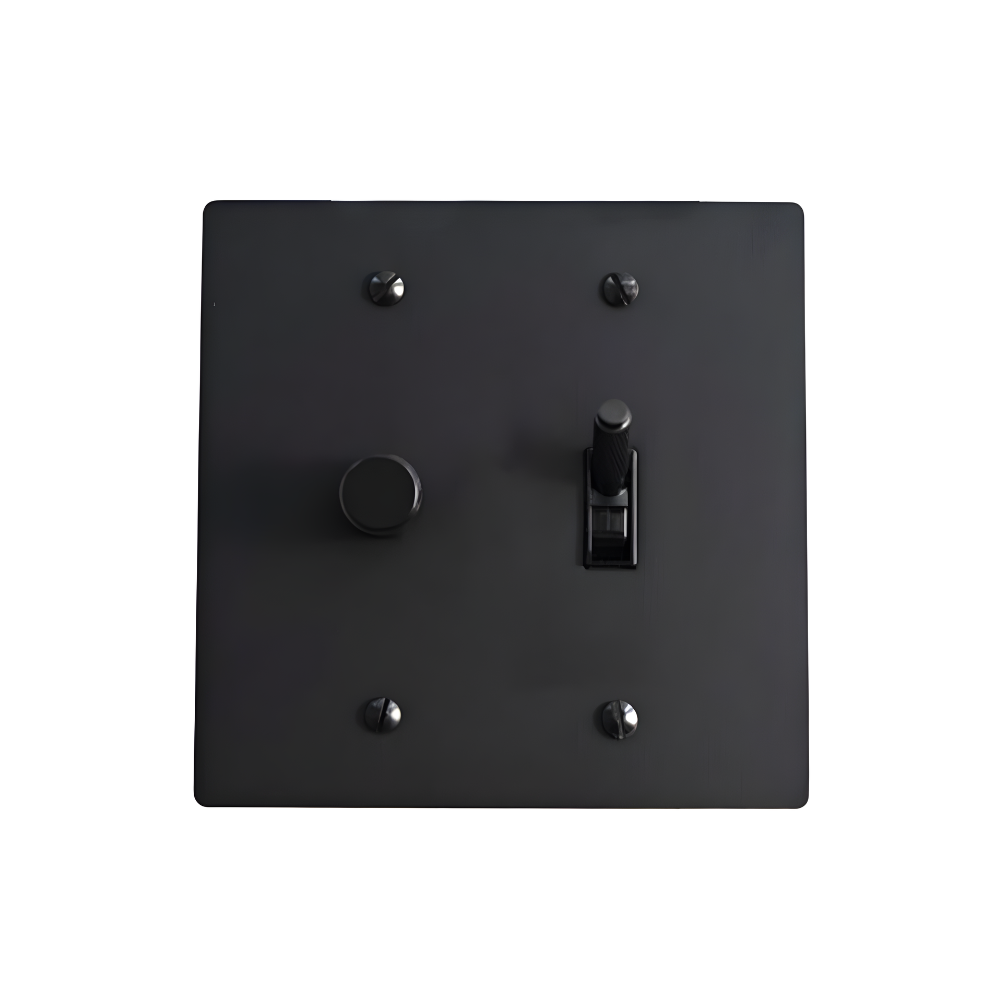 KLAS / Brass Mixed Dimmer Switch Outlet (2-Gang) - Handle Shop Couture