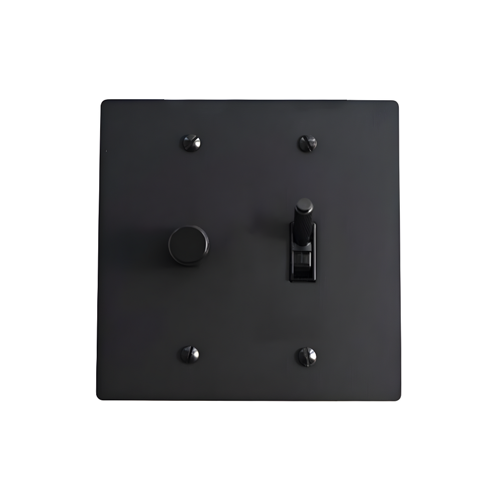 KLAS / Brass Mixed Dimmer Switch Outlet (2-Gang) - Handle Shop Couture