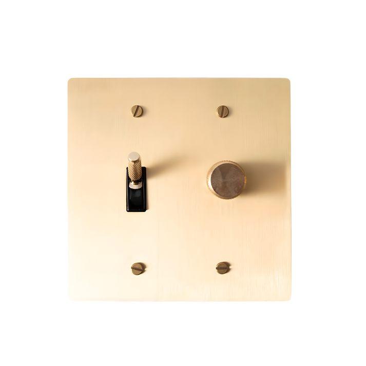 KLAS / Brass Mixed Dimmer Switch Outlet (2-Gang) - Handle Shop Couture